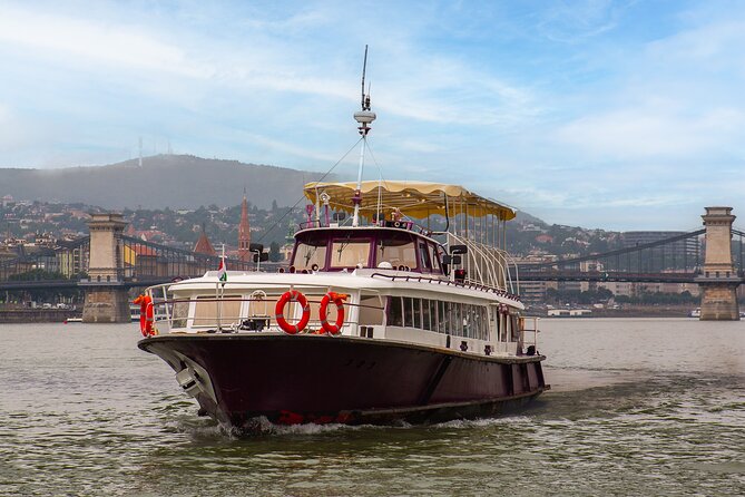 Downtown Sightseeing Cruise - Tips for an Unforgettable Cruise Experience