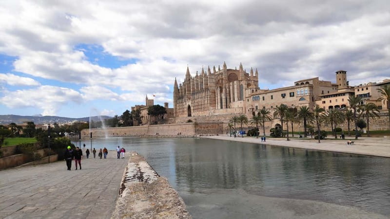 Drach Caves and Palma or Beach Retreat Full-Day Tour - Key Points