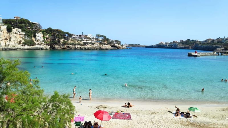 Drach Caves and Palma or Beach Retreat Full-Day Tour - Transportation and Comfort