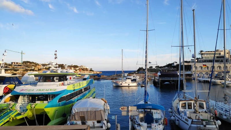 Drach Caves and Palma or Beach Retreat Full-Day Tour - Final Thoughts