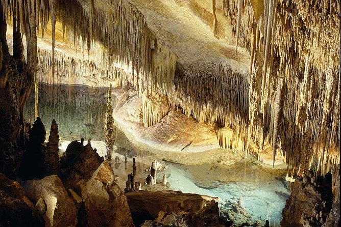 Drach Caves with Port Cristo and Pearl Shop Mallorca Full Day Tour - Who Should Consider This Tour?