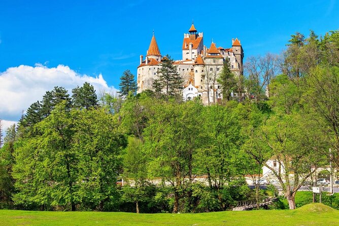 Dracula Castle, Peleș Castle & BrașOv - Private Tour From Buchare - Key Points