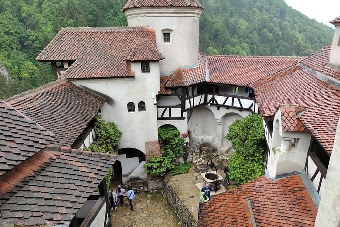 Dracula Castle, Peleș Castle & BrașOv - Private Tour From Buchare - Visiting Peles Castle