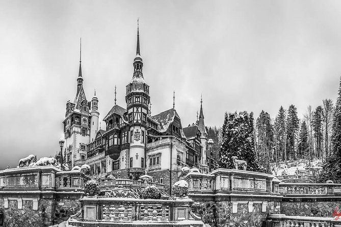 Draculas Castle, Peles Castle and Brasov - Private Day Trip From Bucharest - The Importance of a Licensed Guide