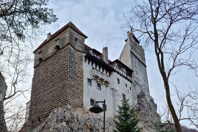 Draculas Castle, Peles Castle and Brasov - Private Day Trip From Bucharest - Traveler Experiences and Reviews