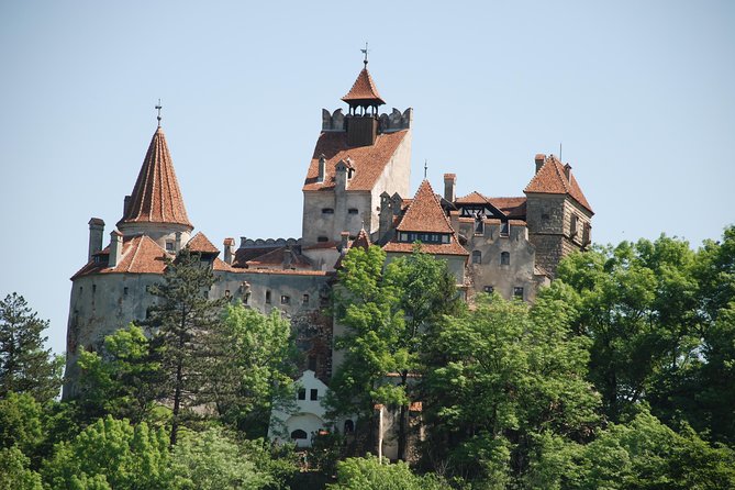 Draculas Castle & Peles Palace Tour From Bucharest Including Brasov Old Town - Tour Logistics and Duration