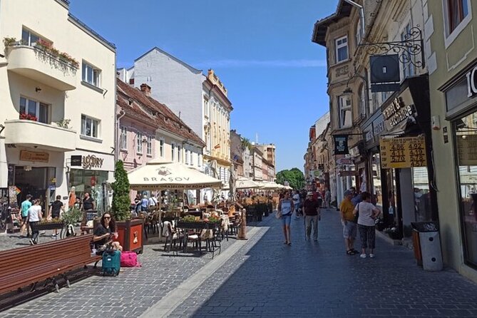 Draculas Castle Private Tour With BrașOv City and Peleș Castle - Personalized Experience With Private Transportation