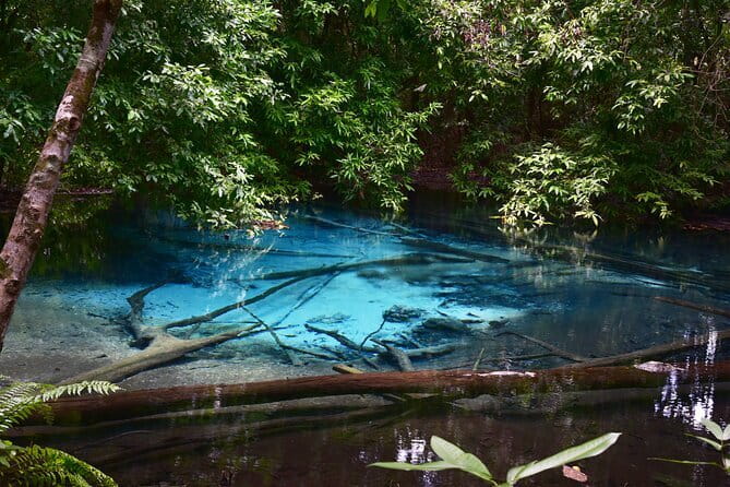 Dragon Crest Sunrise Hike and Klong Root Kayaking Private Tour - Frequently Asked Questions