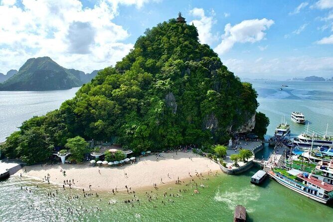 Dragon King Cruise 6 Hours Boat Tour Visit Halong Bay FROM Harbor - The Sum Up: Who Should Consider This Tour?