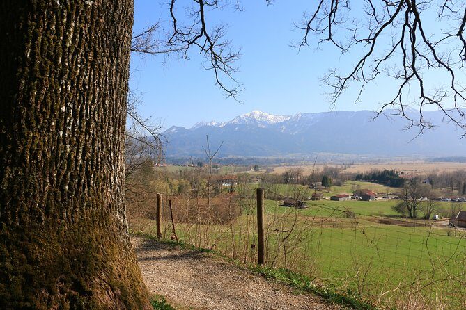 Dragon Slayer Way Beer Hike Food Experience Private Tour (departs Munich) - An In-Depth Look at the Tour