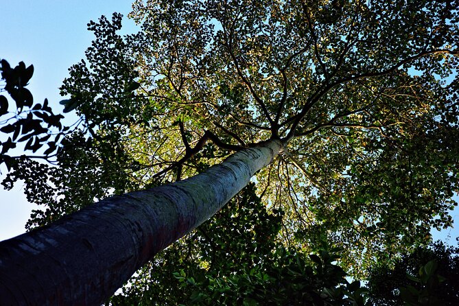 Dragonback Trek - Who Should Consider This Tour?