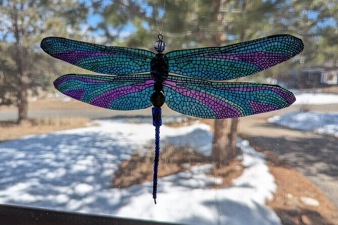 Dragonfly Suncatcher Art Kit in Estes Park - Discovering the Dragonfly Suncatcher Art Kit in Estes Park