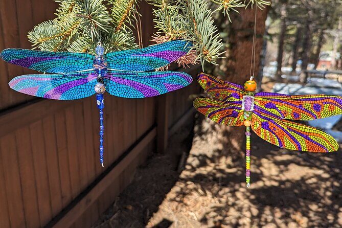 Dragonfly Suncatcher Art Kit in Estes Park - Why This Suncatcher Workshop Stands Out