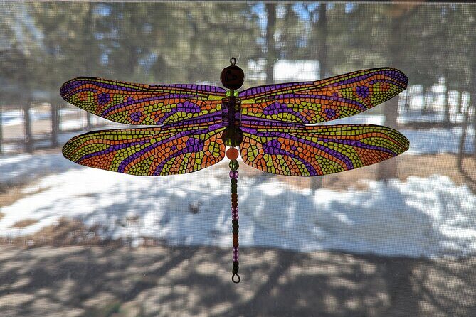 Dragonfly Suncatcher Art Kit in Estes Park - The Sum Up