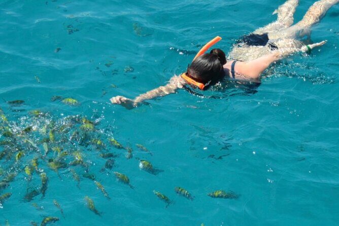 Dreamer Catamaran Party Boat - The Catamaran Itself: A Floating Party