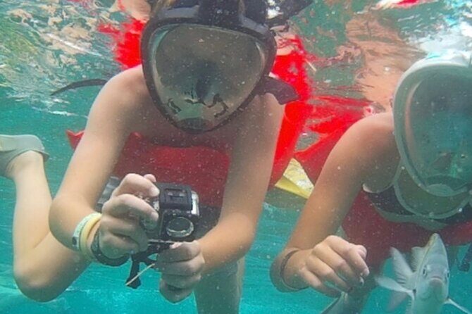 Dreamer Catamaran Party Boat - Value and Cost Analysis