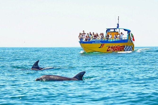Dreamer Cave and Dolphins Boat Tour Ticket Albufeira - Key Points