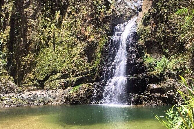 Dreams Flora Resort - Round Trip Shuttle - Punta Cana Airport - An In-Depth Look at the Punta Cana Round-Trip Shuttle Service