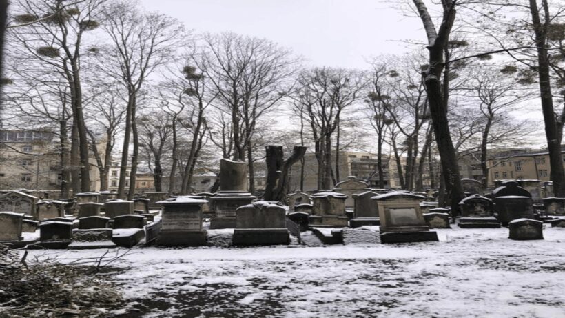 Dresden: Urban Nature& Counter Culture Tours - Dogs Welcome! - Who Will Love This Tour?