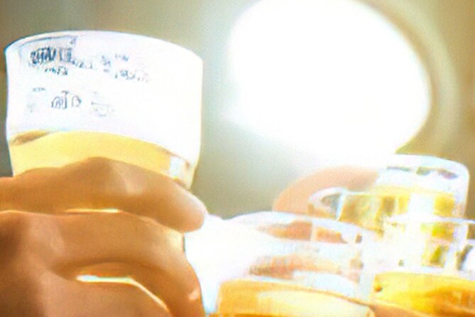 Drinks on Foot: Dublin Traditional Pub Tour - Insider Tips for the Tour