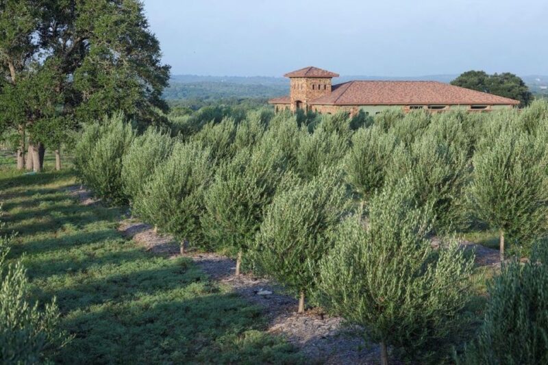 Dripping Springs: Olive Oil and Balsamic Vinegar Tasting - Who Will Love This Experience?