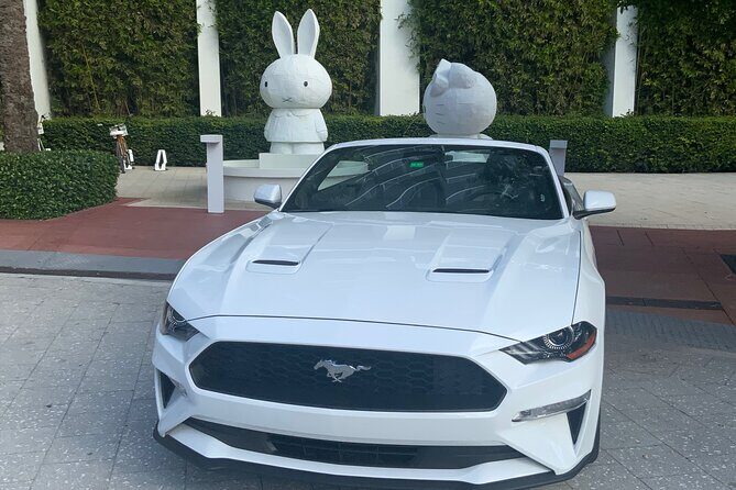 Drive a Mustang Convertible - What to Expect from Your Mustang Convertible Rental
