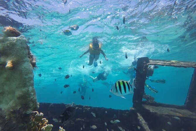 Drive an Speedboat at full speed at Cancun's Lagoon & Snorkeling - Final Thoughts: Who Will Love This Tour?