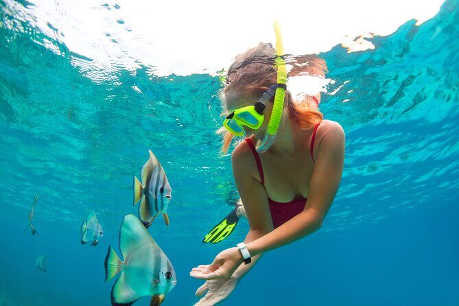Drive an Speedboat + Mayan Ritual + Food Tasting and More! - FAQs