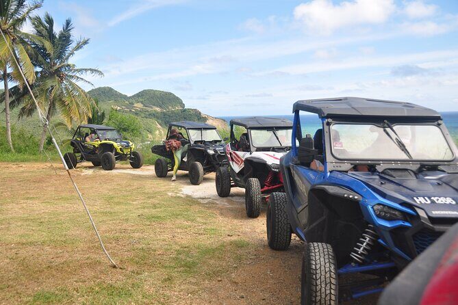 Drive and Fly - Buggy and Zipline - An In-Depth Look at the Tour