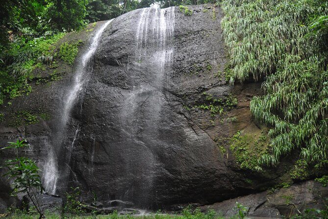 Drive and Fly - Buggy and Zipline - FAQ