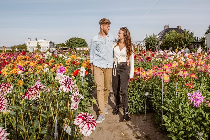 Drive It Yourself Electric Dune & Summer Flower GPS Audio Tour - Key Details About the Renault Twizy Electric Car