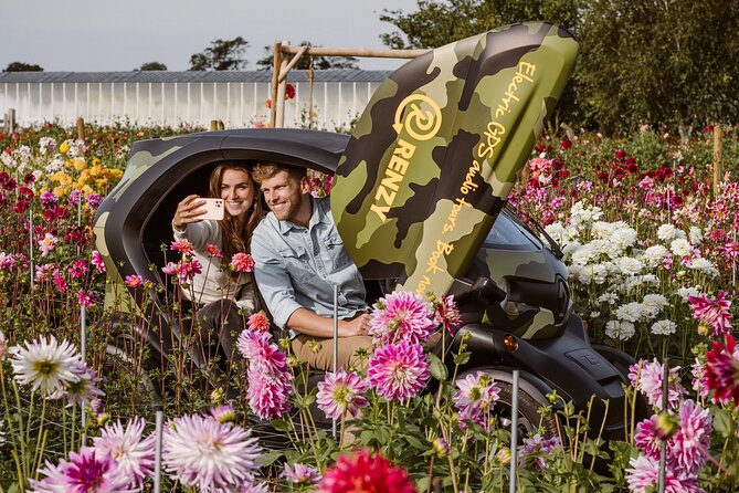 Drive It Yourself Electric Dune & Summer Flower GPS Audio Tour - Traveler Reviews and Feedback