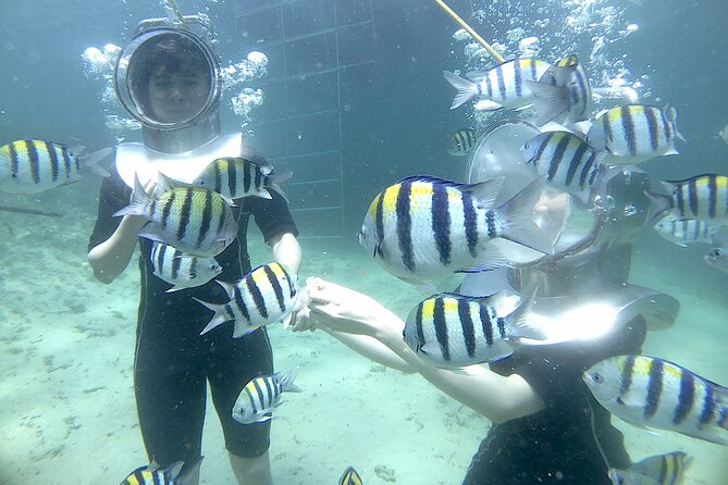 Drive Self Jet Ski Half an Hour - What to Expect at the Water