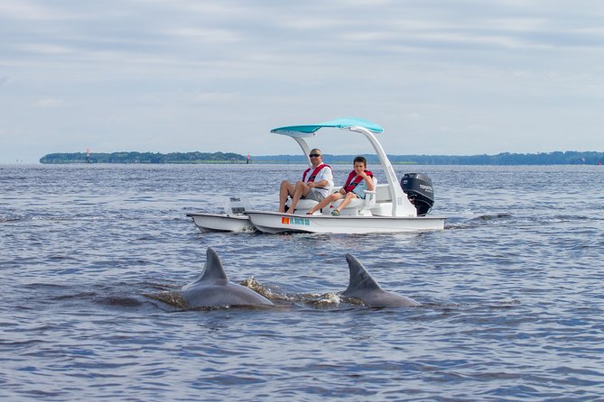Drive your Own 2 Seat Fun Go Cat Boat on Marco Island - The Sum Up