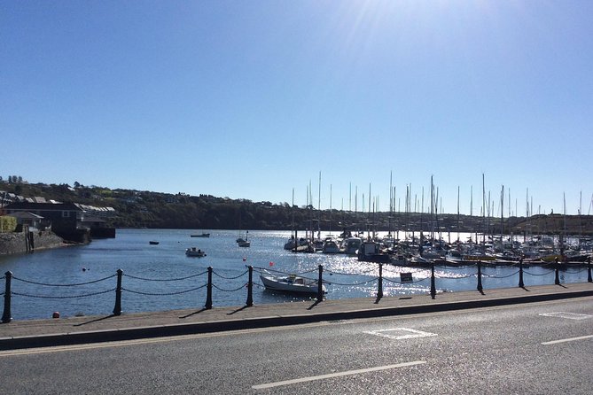 Driver Guide for up to 10 Days - Booking Information and Policies