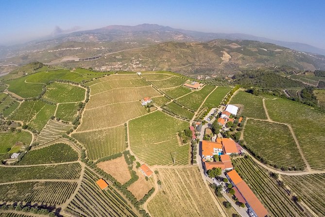 Driver with Private Vehicle in the Douro Valley - Final Word