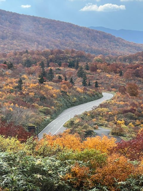 Driving Support in Akita - Meeting and Drop-off Locations