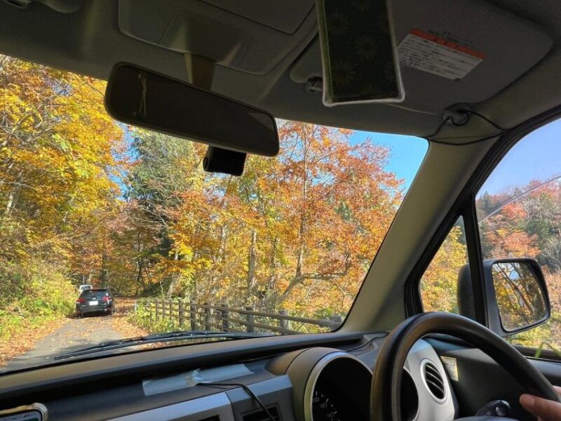 Driving Support in Akita - Pricing and Booking Information