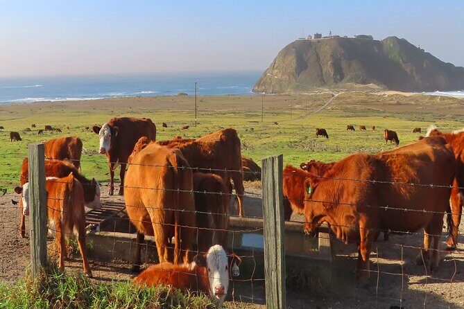 Driving the California Coast: A Self-Guided Audio Tour - The Sum Up