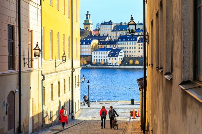 Drottningholm Palace Tour VIP Car and Private Guide - Summary of Reviews