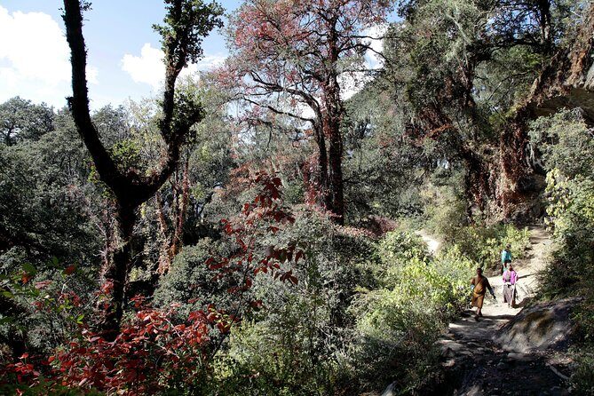 Druk Path Trek: Discover The Raw Natural Beauty of Bhutan - Introduction: A Trek for True Nature and Culture Seekers