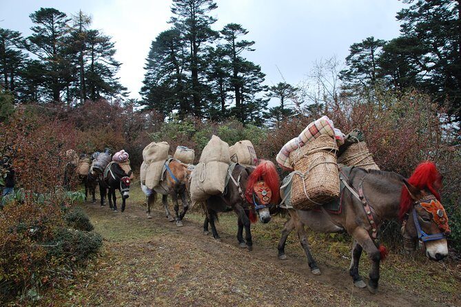 Druk Path Trek in Pristine Bhutan - Key Points