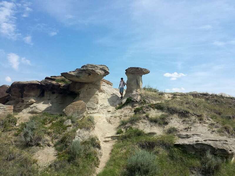 Drumheller: Bad Land & Dinosaur Museum Tour from Calgary - Authentic Traveller Feedback