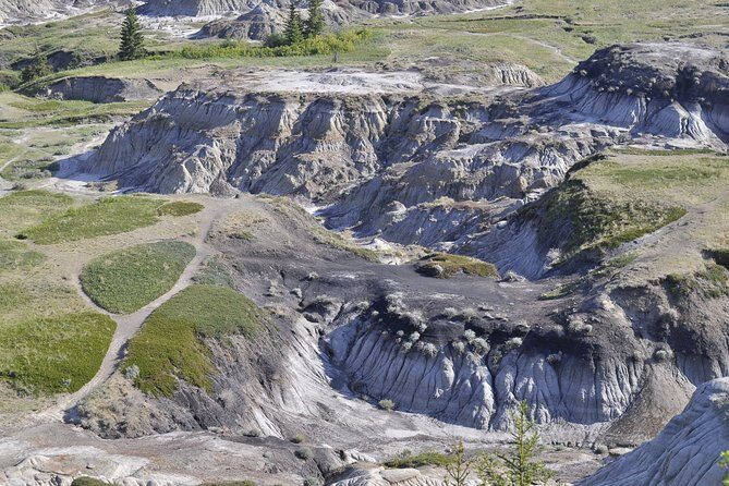 Drumheller Dinosaur Valley & Horseshoe Canyon Adventure Day Tour - The Tour Experience: What to Expect