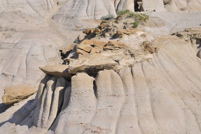 Drumheller Dinosaur Valley & Horseshoe Canyon Adventure Day Tour - The Realities: Pros and Cons