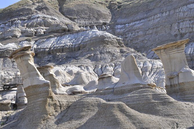 Drumheller Dinosaur Valley & Horseshoe Canyon Adventure Day Tour - Final Thoughts: Is It Worth It?