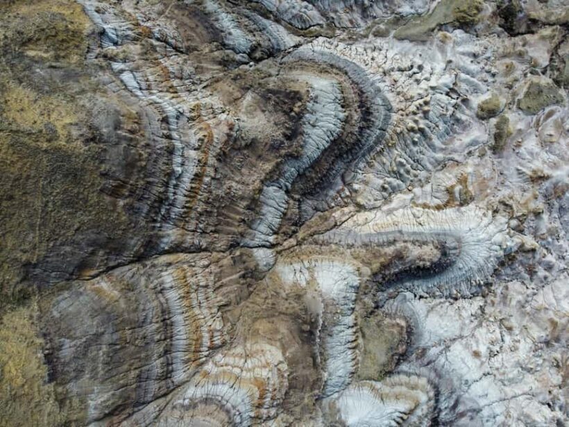 Drumheller: Dinosaurs, Canyons, & Hoodoos Day Tour - The Sum Up
