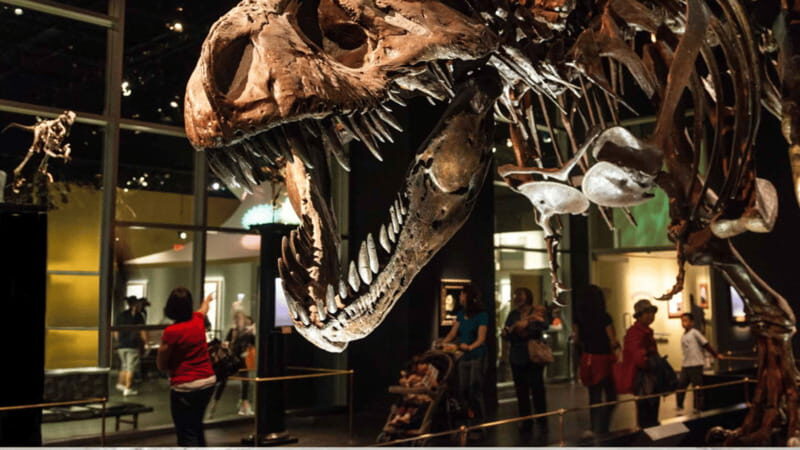 Drumheller Full Day: Tyrrell Museum & Canyon Adventure - What to Expect on Your Drumheller Adventure