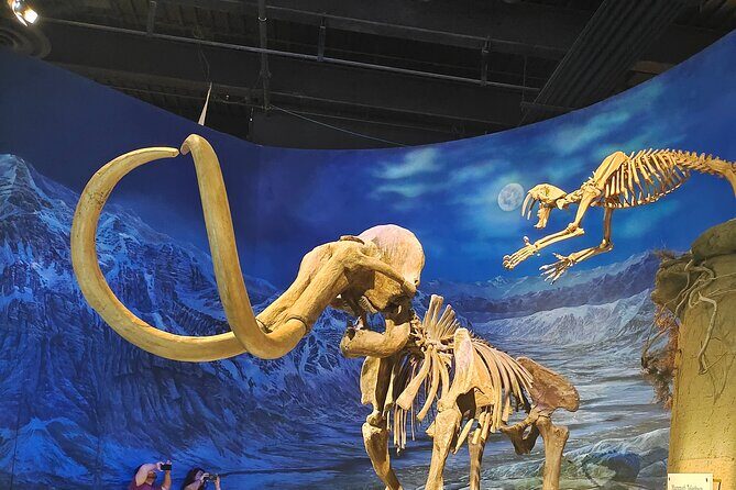 Drumheller, Royal Tyrrell Museum, Hoodoos & Coal Mine Adventure - FAQs