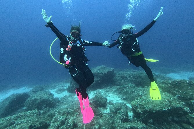 DSD | Discover scuba Diving Experience in Paros - Who Should Consider This Tour?